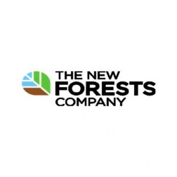 New Forests Company Job Vacancy — Human Resources Officer | AJIRA YAKO