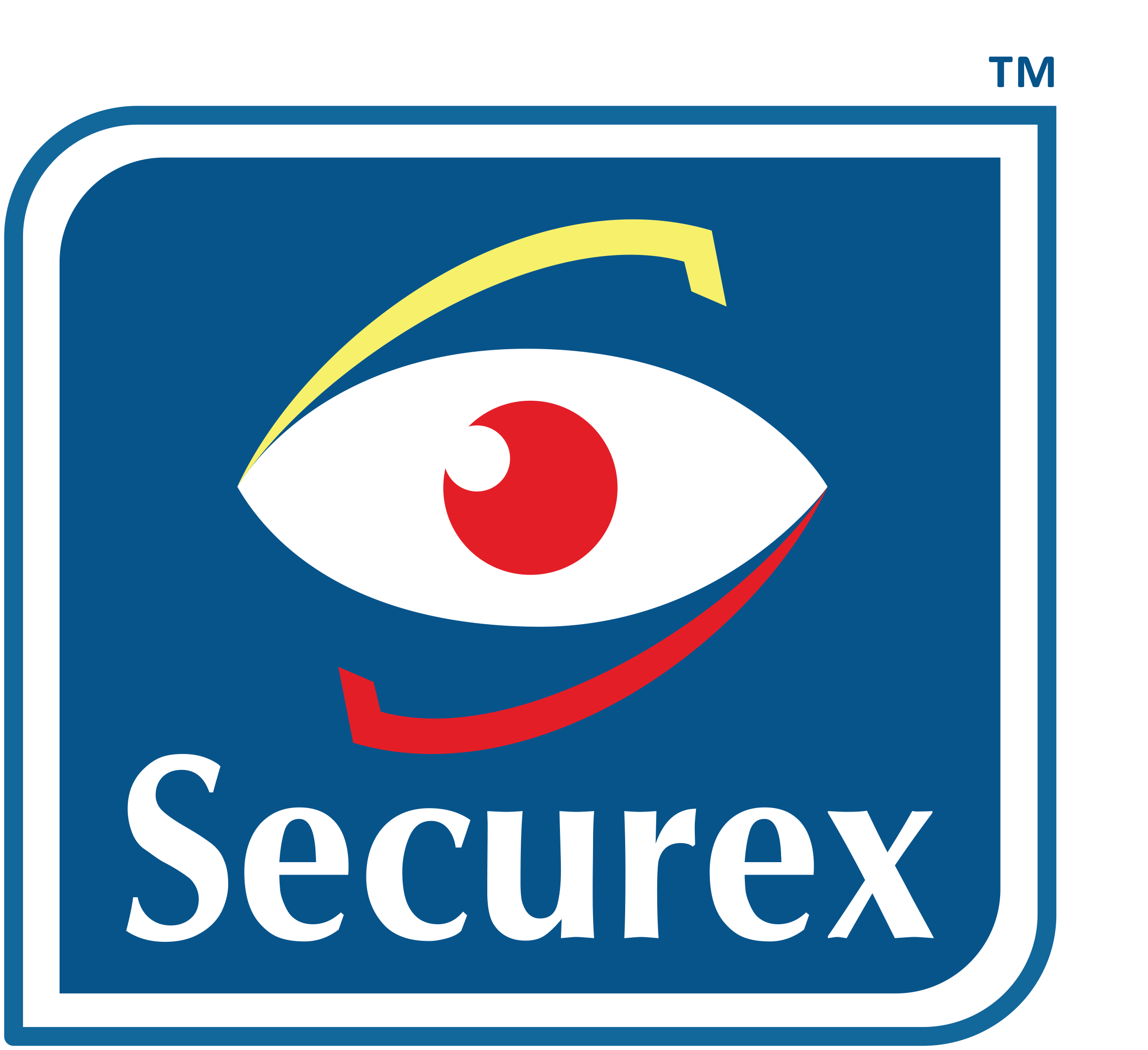 Senior Supervisor Job Opportunity at Securex Limited | AJIRA YAKO