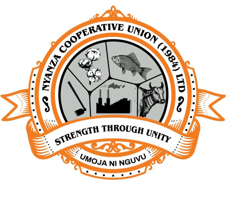 Chief Accountant Vacancy at Nyanza Cooperative Union | AJIRA YAKO